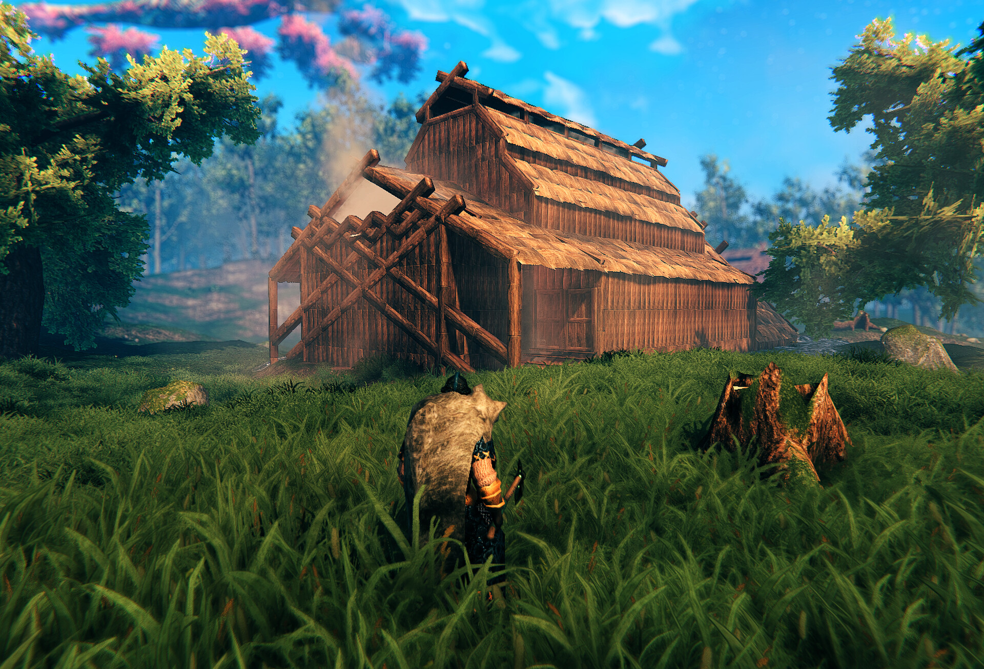 Several Longhouses Valheim Build